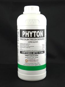 Phyton | Marketing Arm International